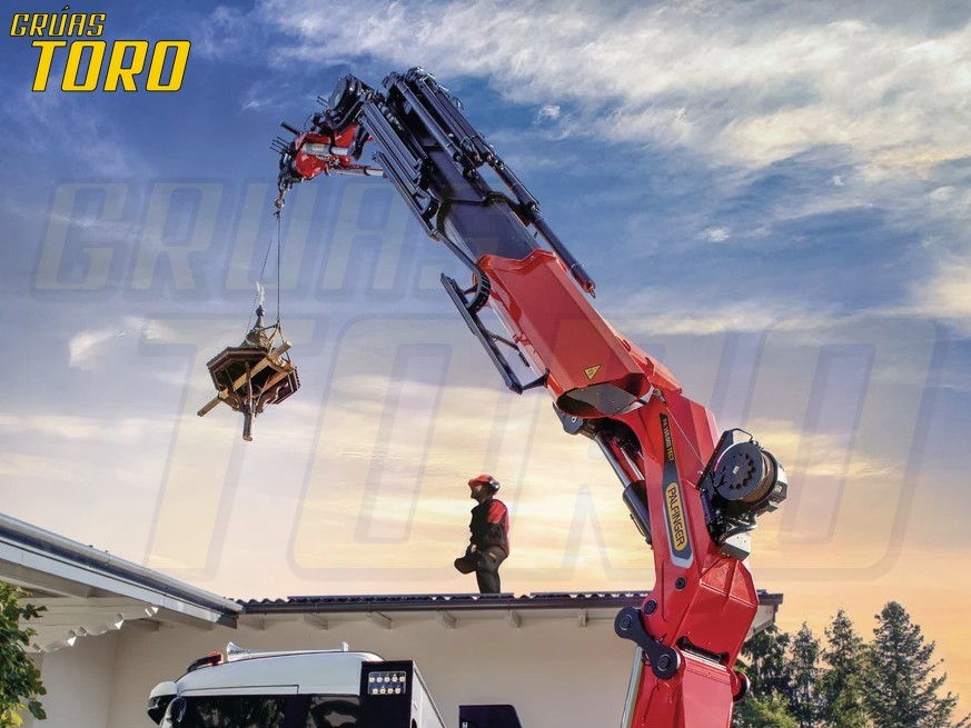 Grúas Toro - Detalles de Arriendo de Camiones Grúa