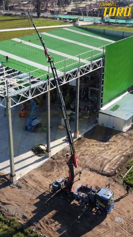 Grúas Toro - Arriendo de Camiones Grúa